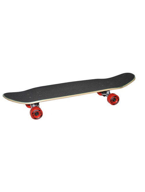 Cruiser LibTech Lib Poly 30" | Boardmania.cz